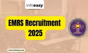 Bihar STET Notification 2025 Out, Apply Online, Eligibility